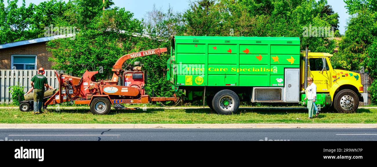 Men working with a wood chipper or trunk shredder by a house fence ...