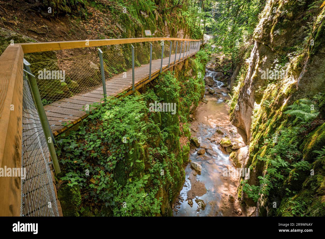 Stream, footbridge, Johannesbachklamm, Wuerflach, Vienna Alps, Lower ...
