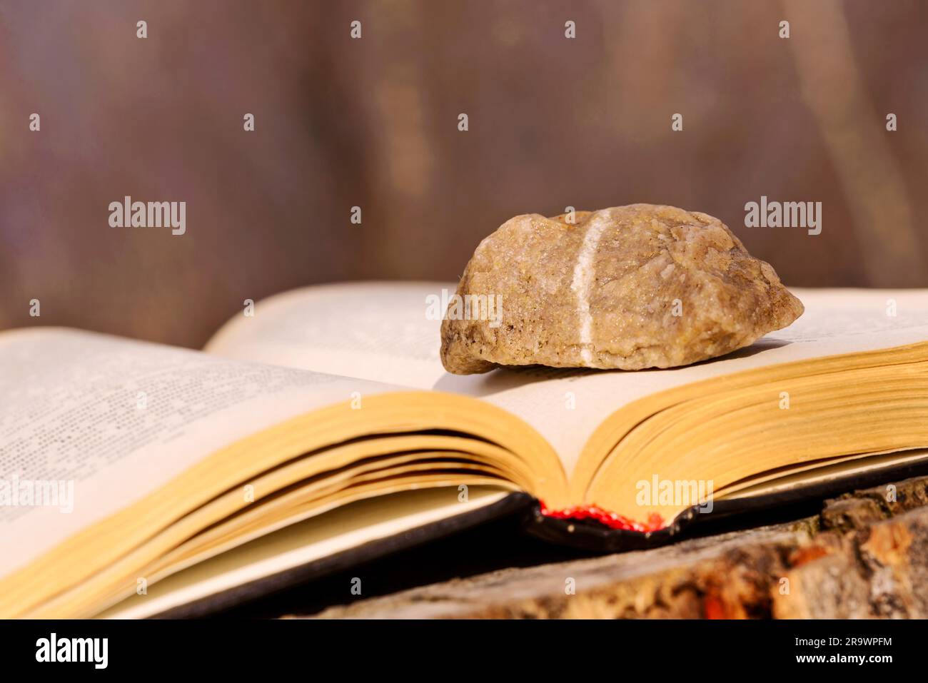 Stone on an open book put on cut tree. The sun rays warm the soft ...