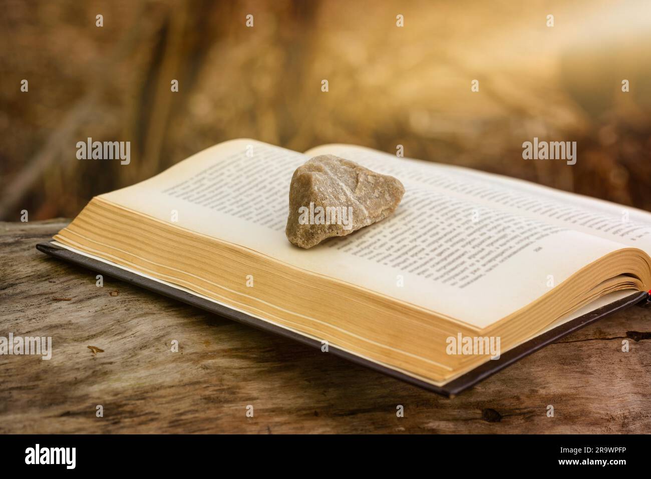 Stone on an open book put on tree trunk. The sun rays blink through the ...