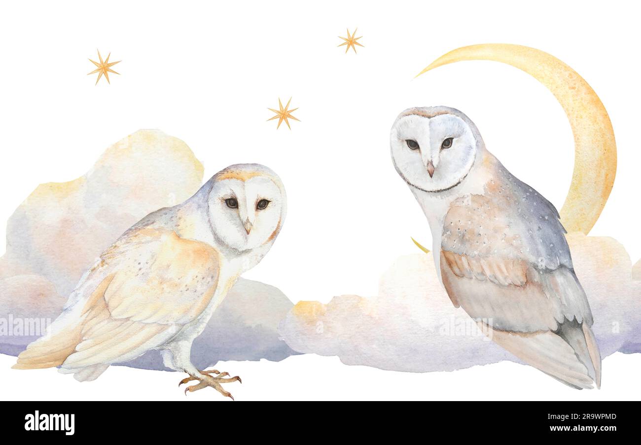 Watercolor illustration of barn owl with moon,clouds and stars isolated ...