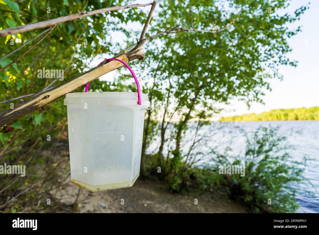 A little plastic bucket for fishers, hooked on a tree branch during a ...