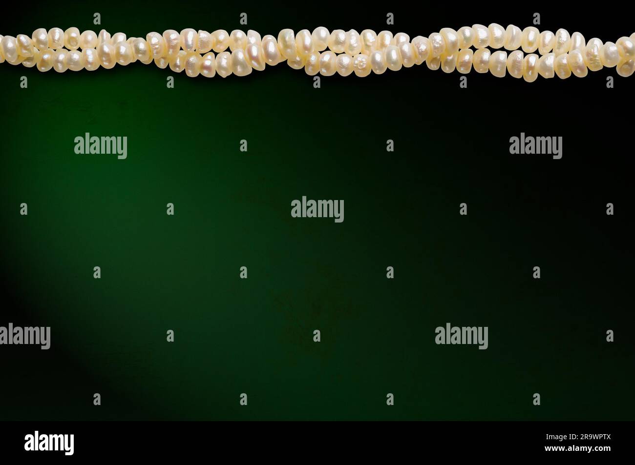A line of natural pearls on a dark green background, with space for ...