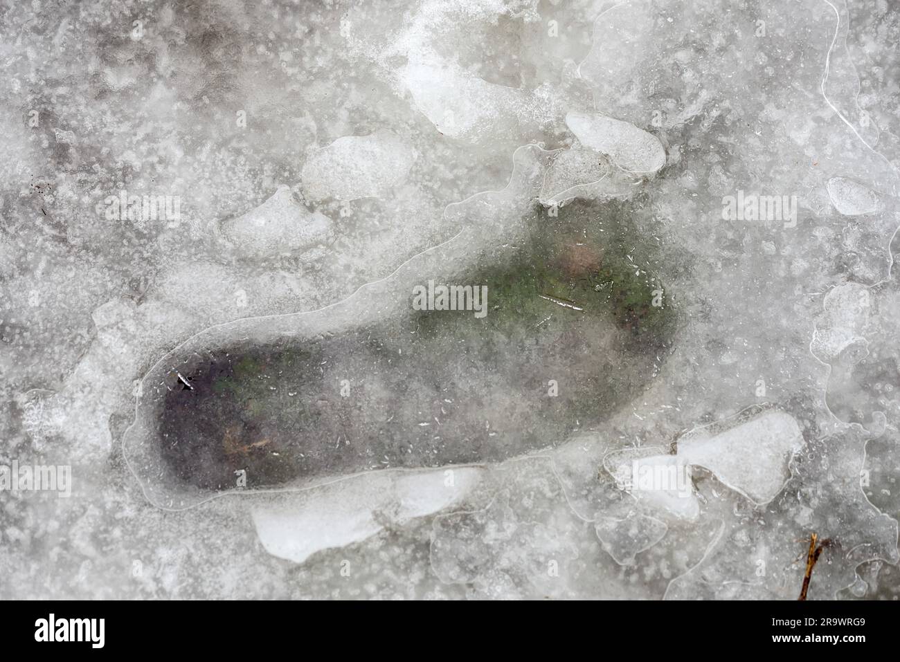 Footprint in the cold snow, under the ice, in winter Stock Photo - Alamy