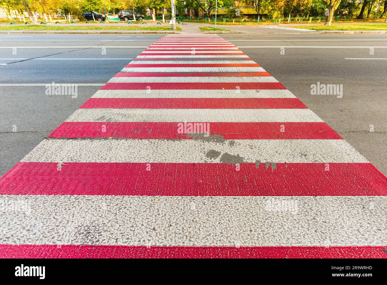 A red and white pedestrian crossing on blue black asphalt in the town ...