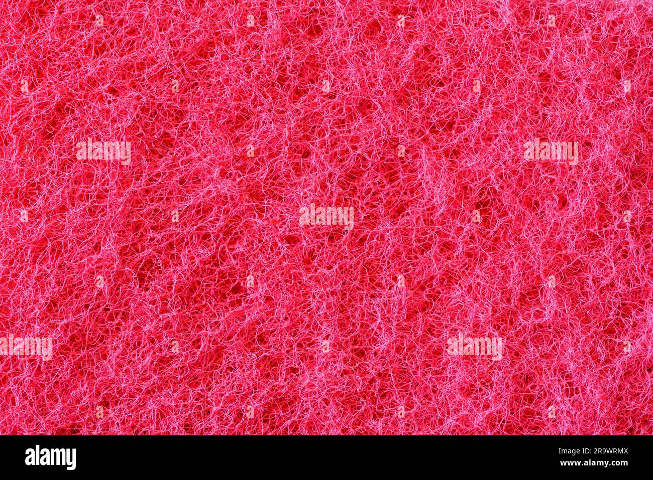 Sponge macro view hi-res stock photography and images - Alamy