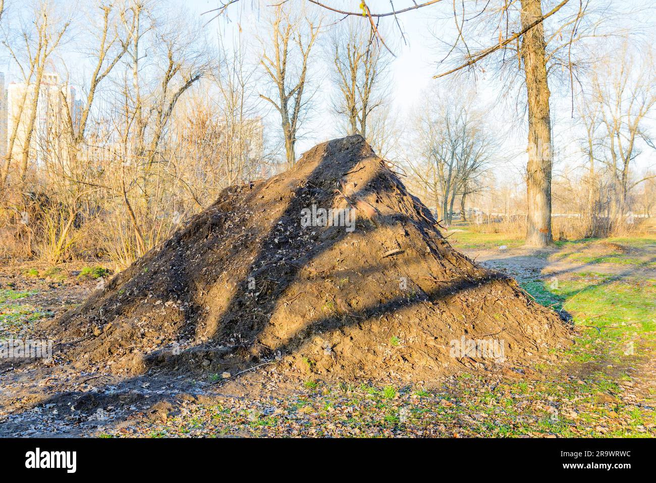 A huge heap of soil in the park with morning sunlight Stock Photo - Alamy
