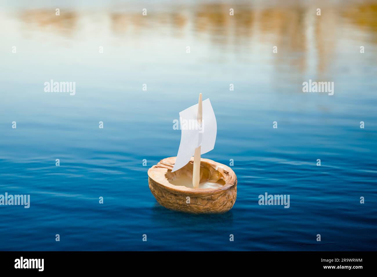 Walnut shell hi-res stock photography and images - Alamy