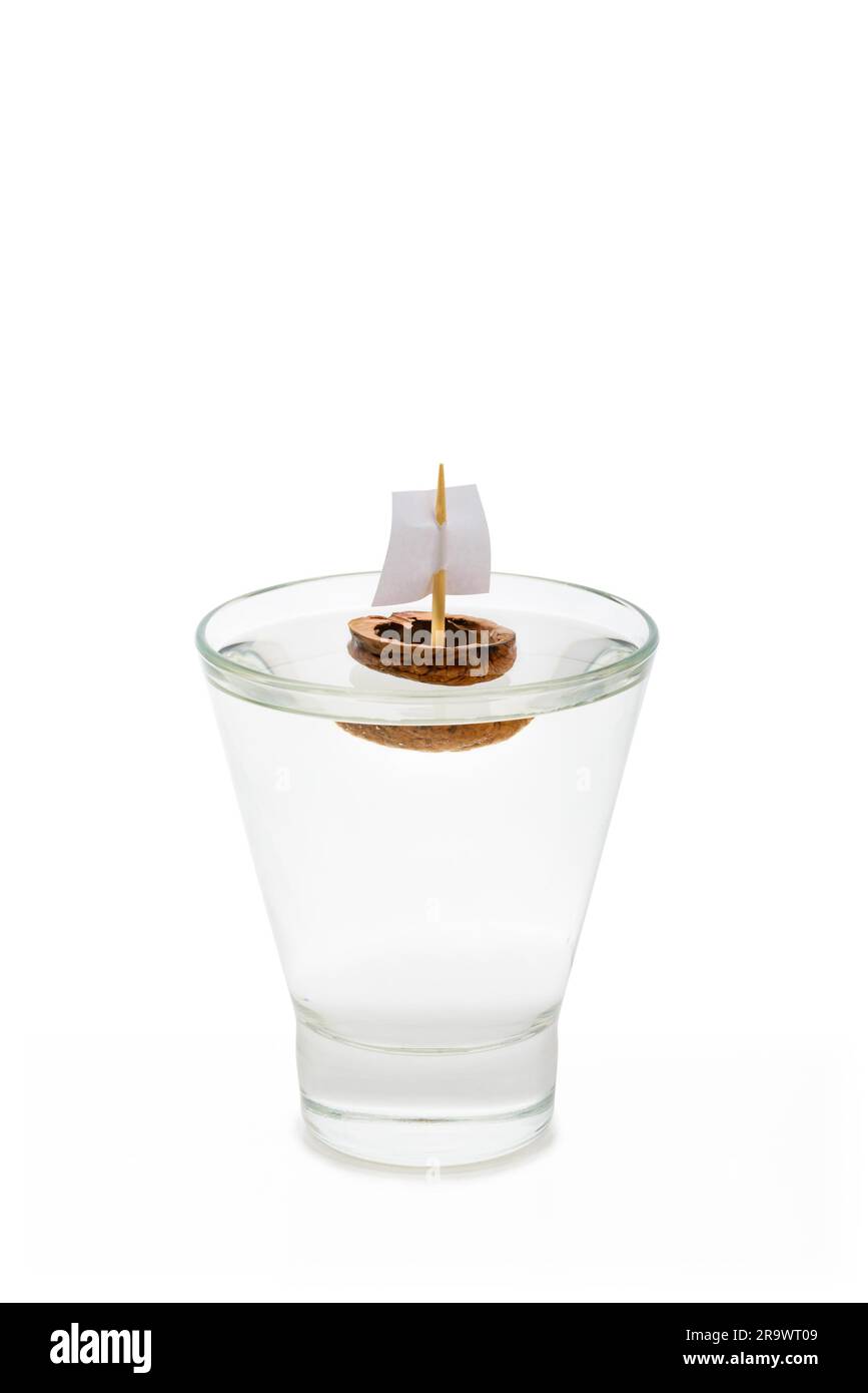 A walnut shell boat with a sail, floating in a transparent glass full ...