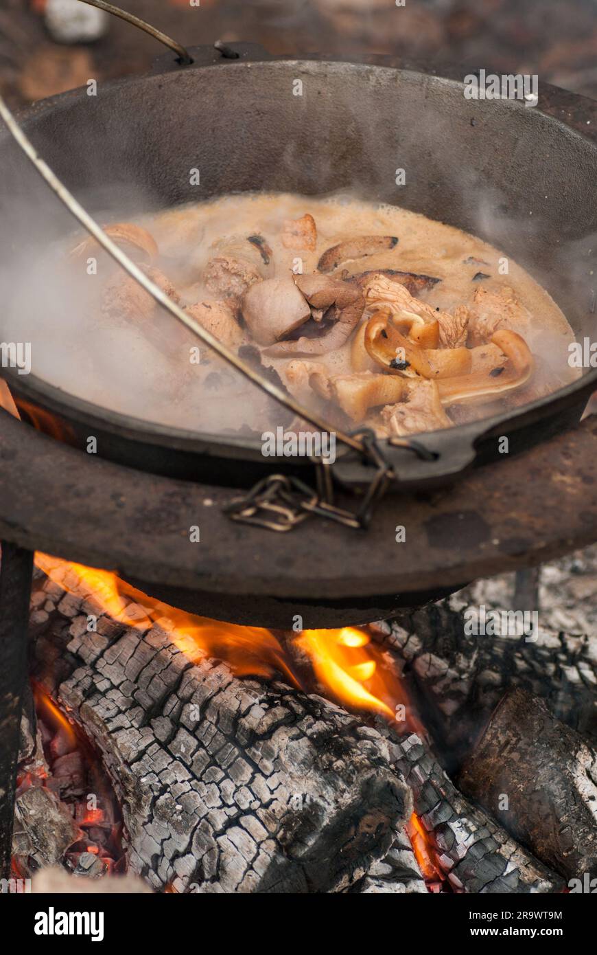 delicious pork meat and organs traditionally cooked in the cauldron ...