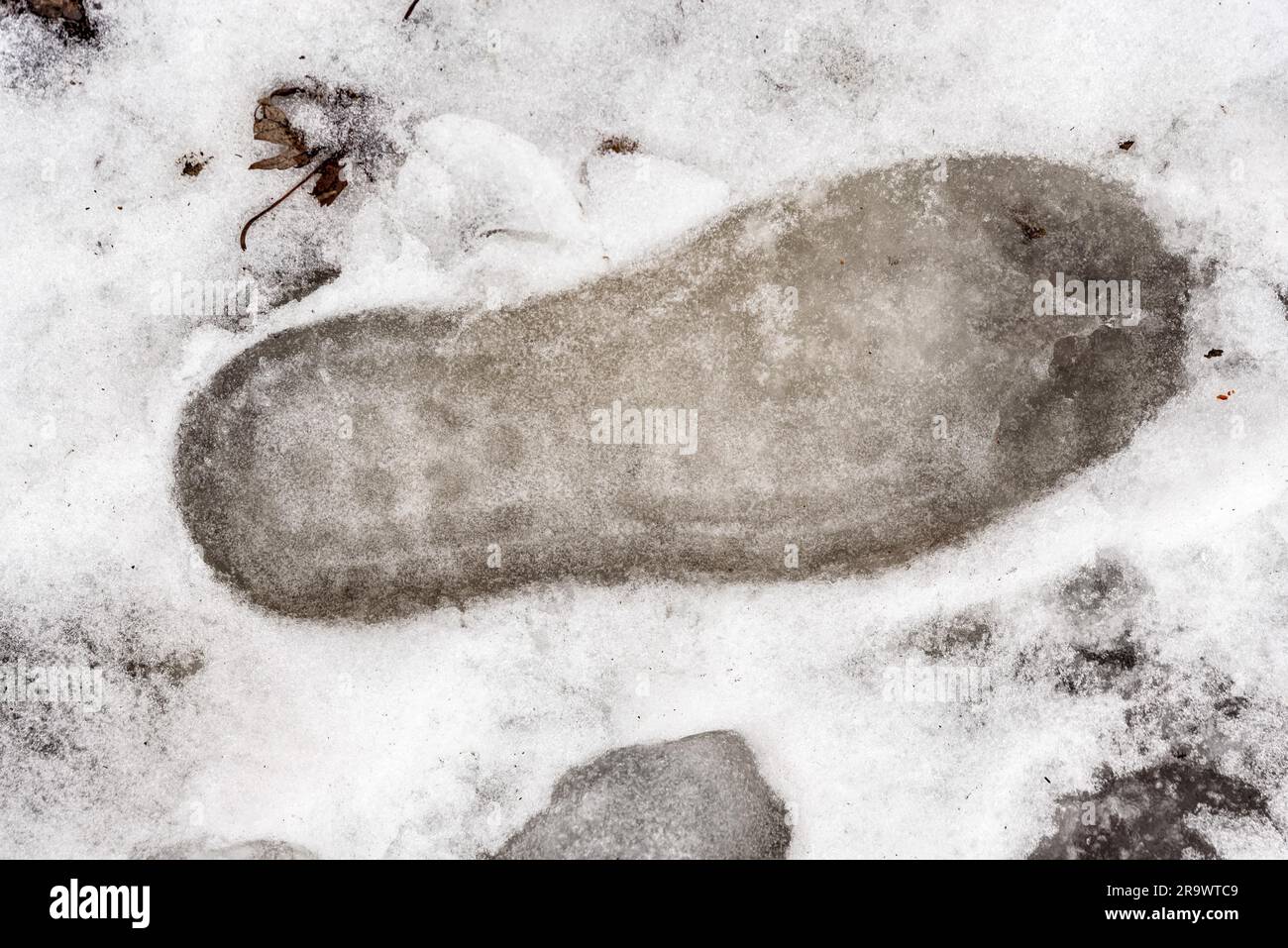 Seasonal footprint hi-res stock photography and images - Alamy