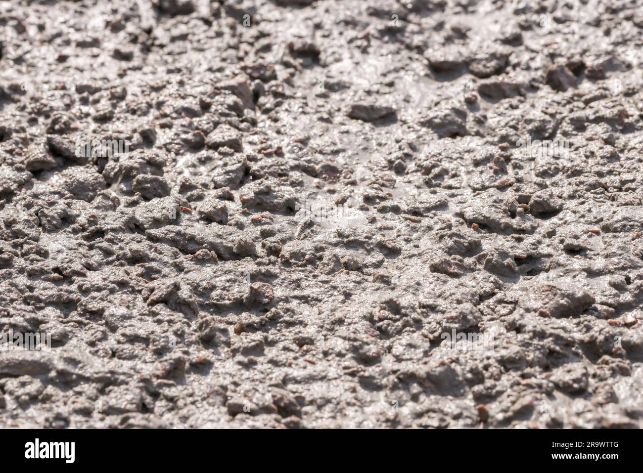 Detail of a fresh concrete surface under the sun Stock Photo - Alamy