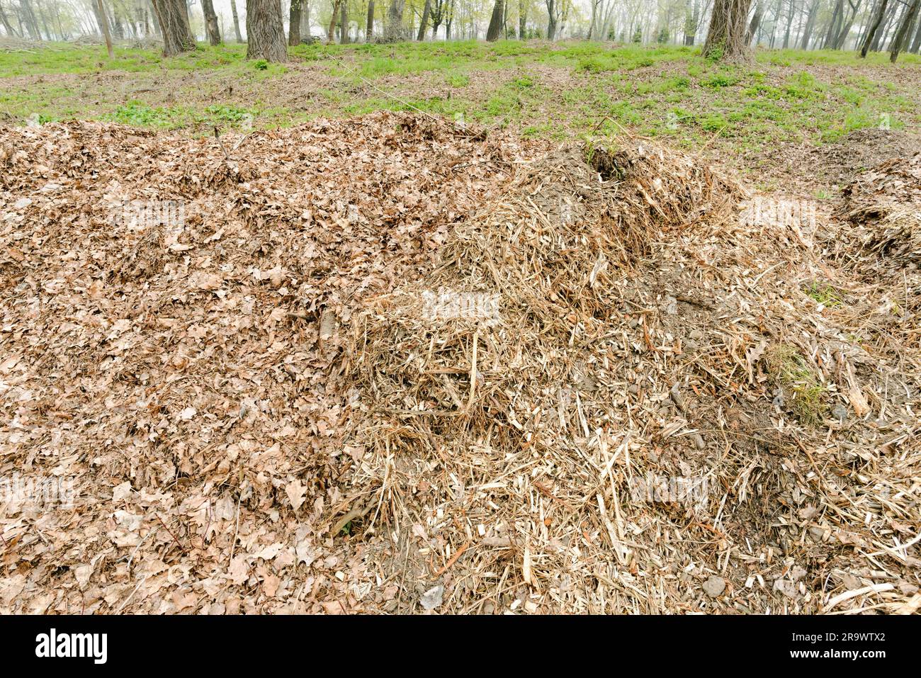 Compost heap leaves hi-res stock photography and images - Alamy