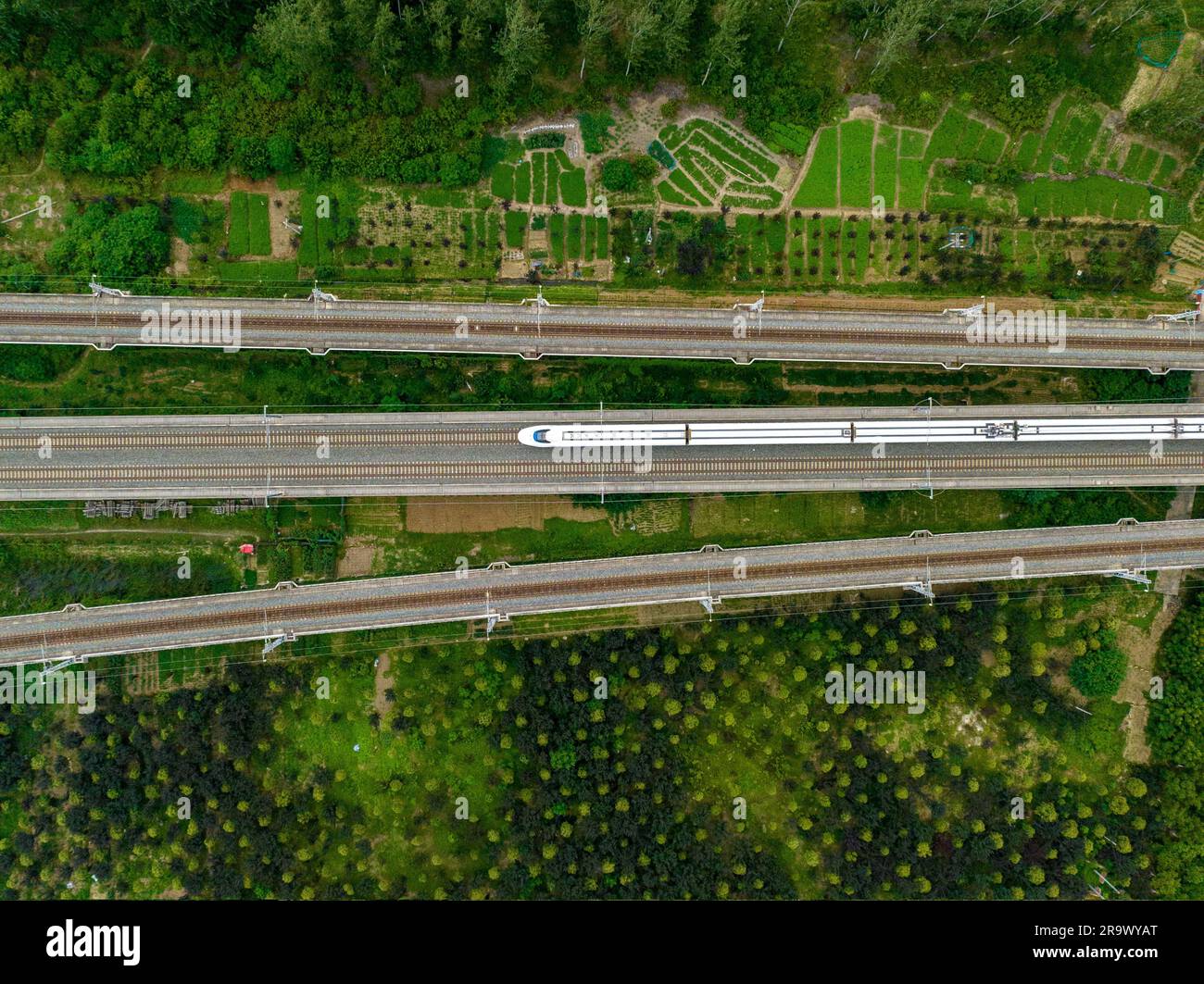 HEFEI, CHINA - JUNE 29, 2023 - A bullet train runs on a railway in ...