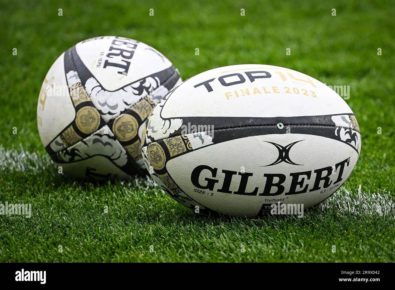 Illustration of the official balls during the French championship Top ...