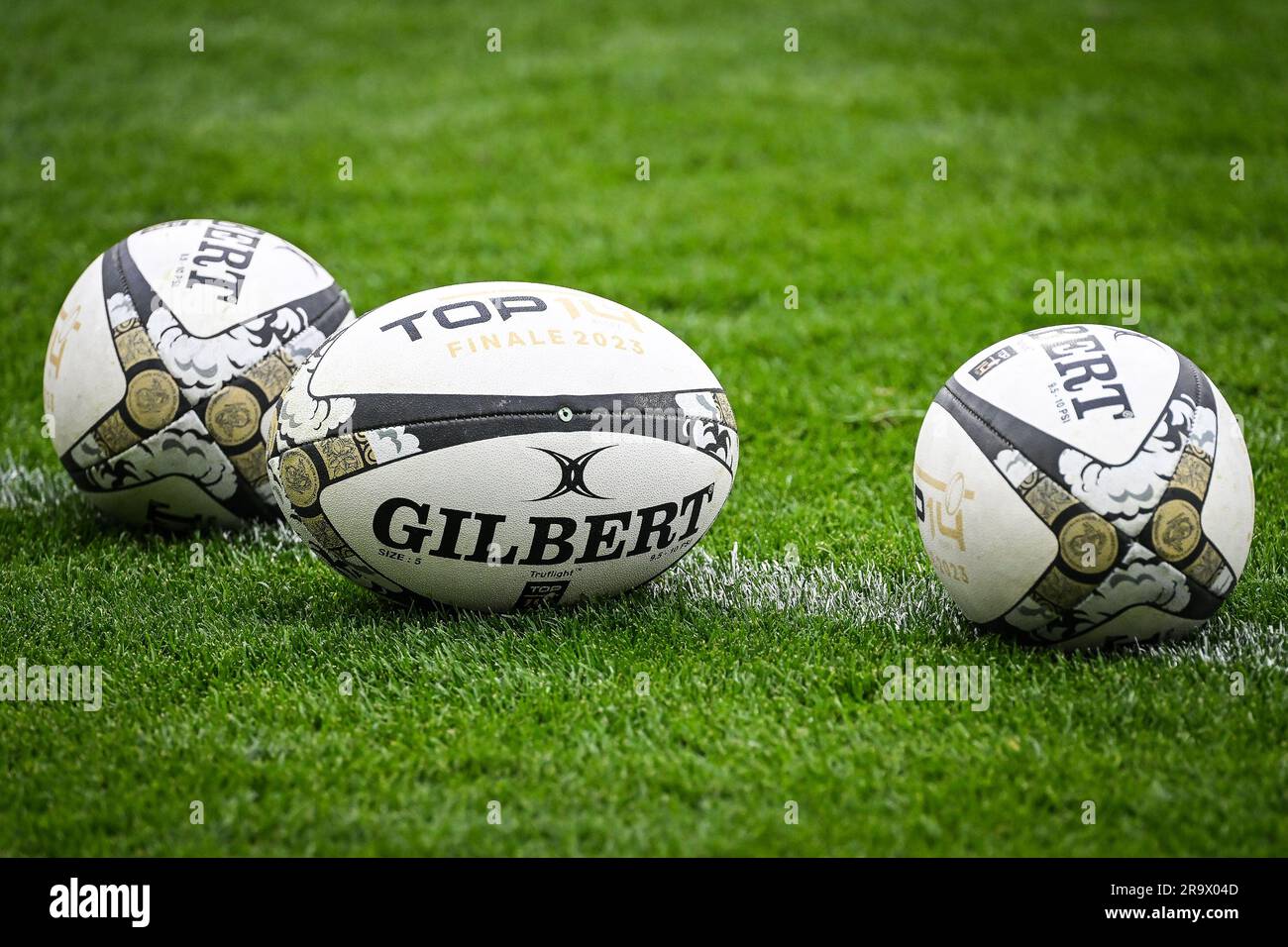 Illustration of the official balls during the French championship Top ...