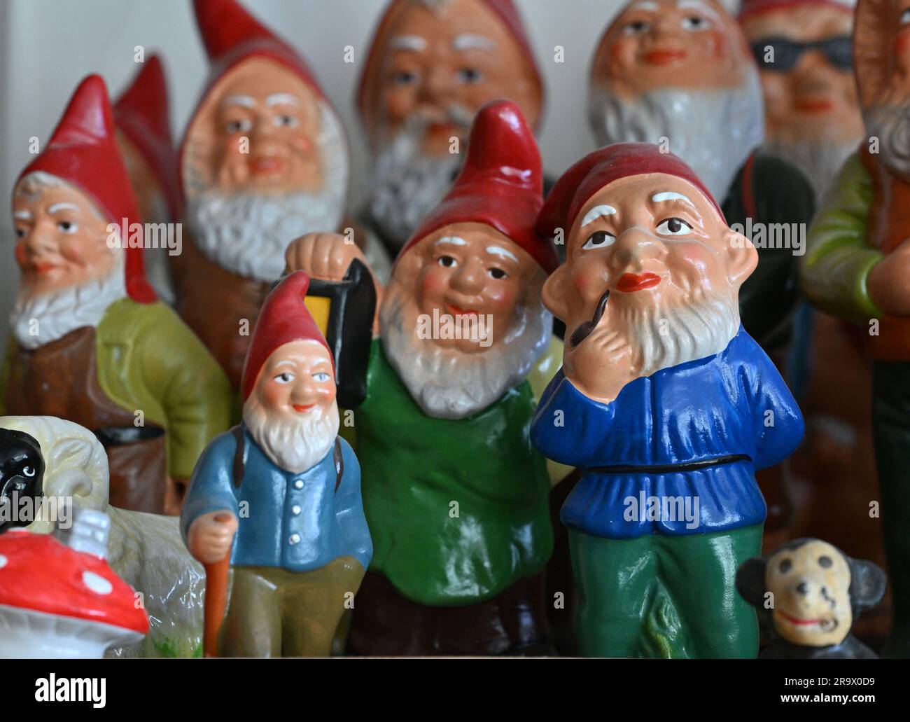Geratal, Germany. 29th June, 2023. Various garden gnomes stand on a ...