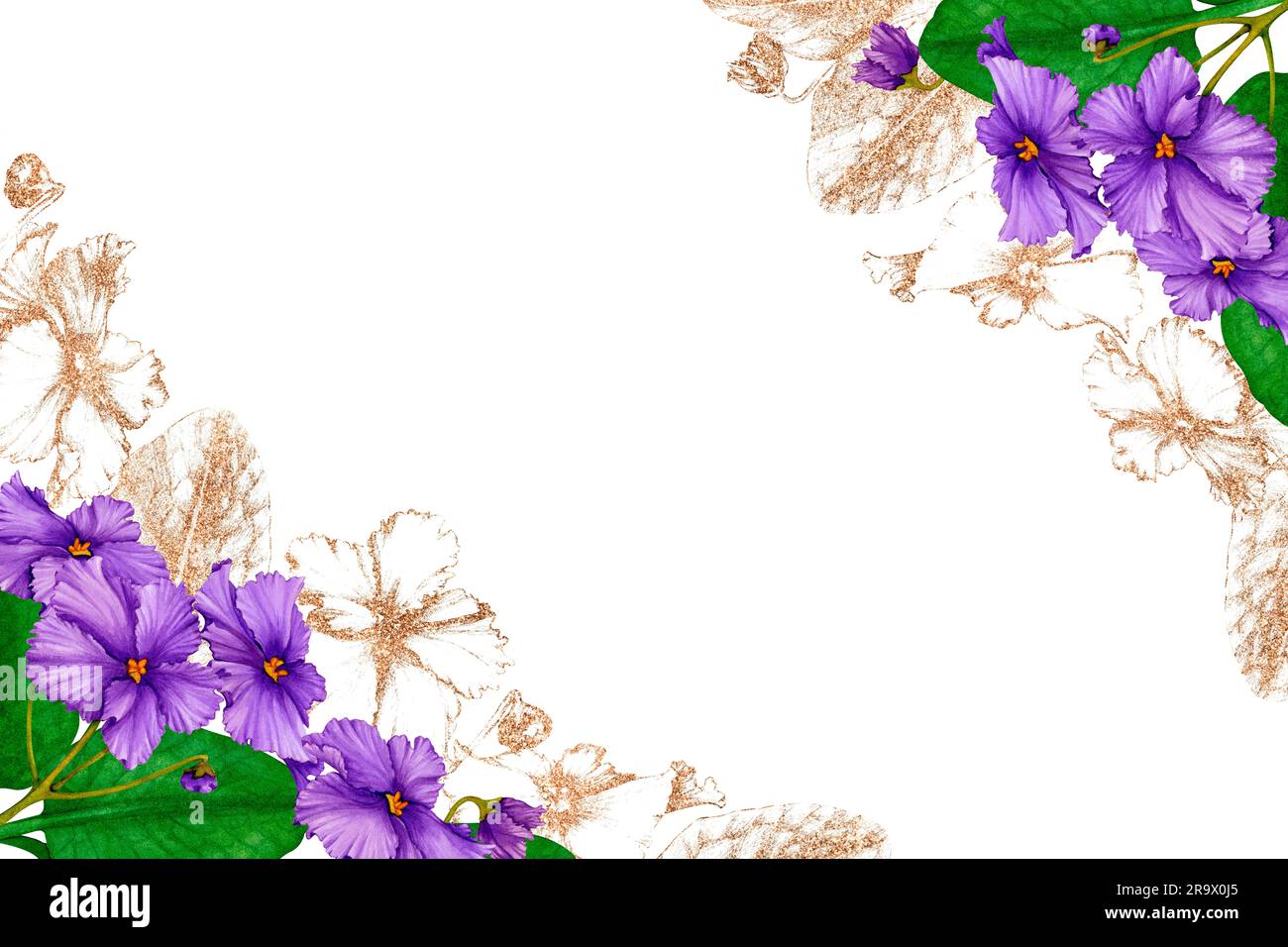 Background. Rectangular floral frame of African violets. Hand drawn ...