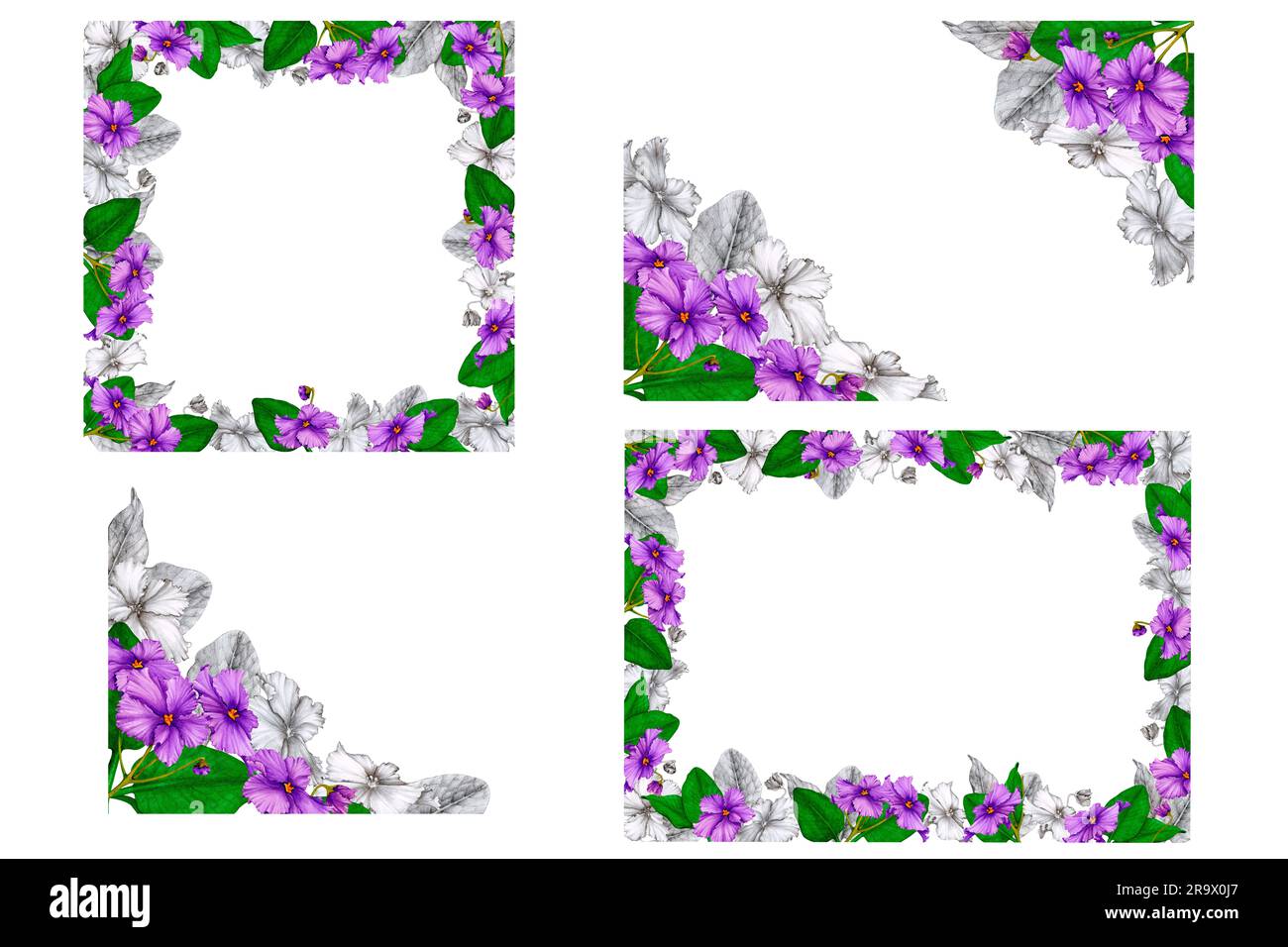 African violets floral frame set. Hand drawn watercolor and graphics ...