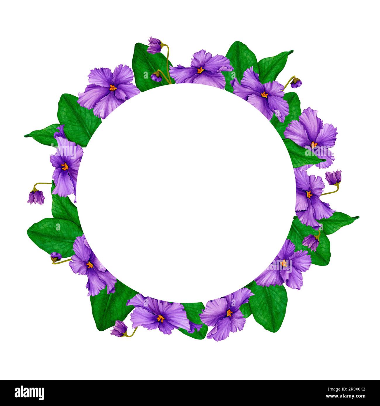 Round frame from African violets (saintpaulia). Hand drawn watercolor ...