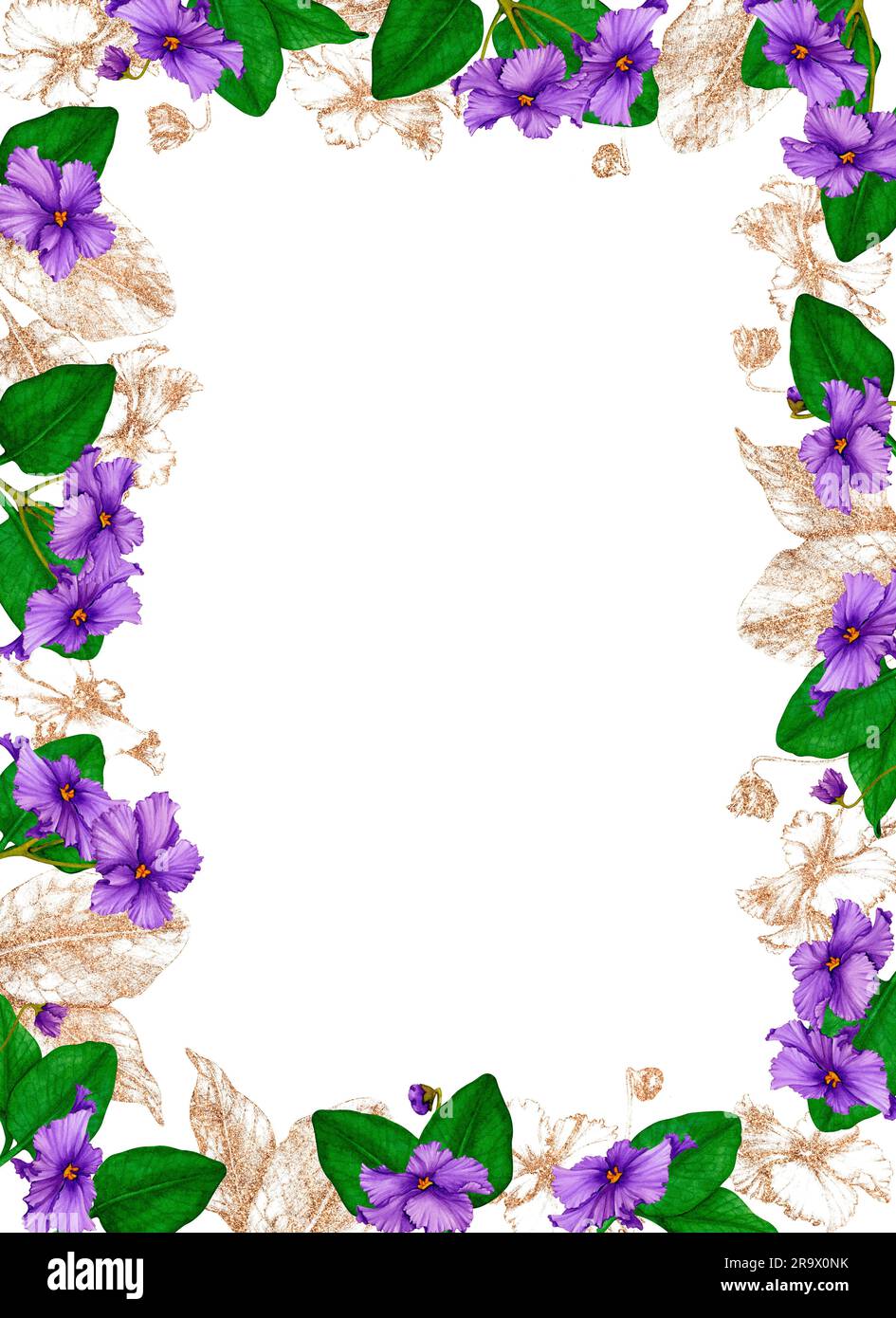 Rectangular floral frame of African violets (saintpaulia). Hand drawn ...