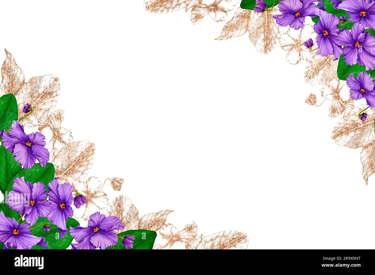 Background. Rectangular floral frame of African violets. Hand drawn ...