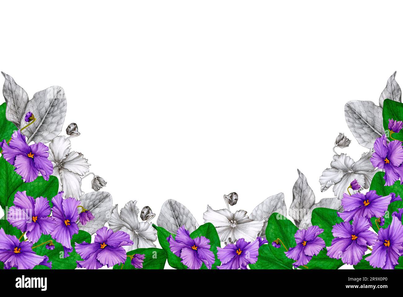 Background.Floral frame of African violets. Hand drawn watercolor and ...