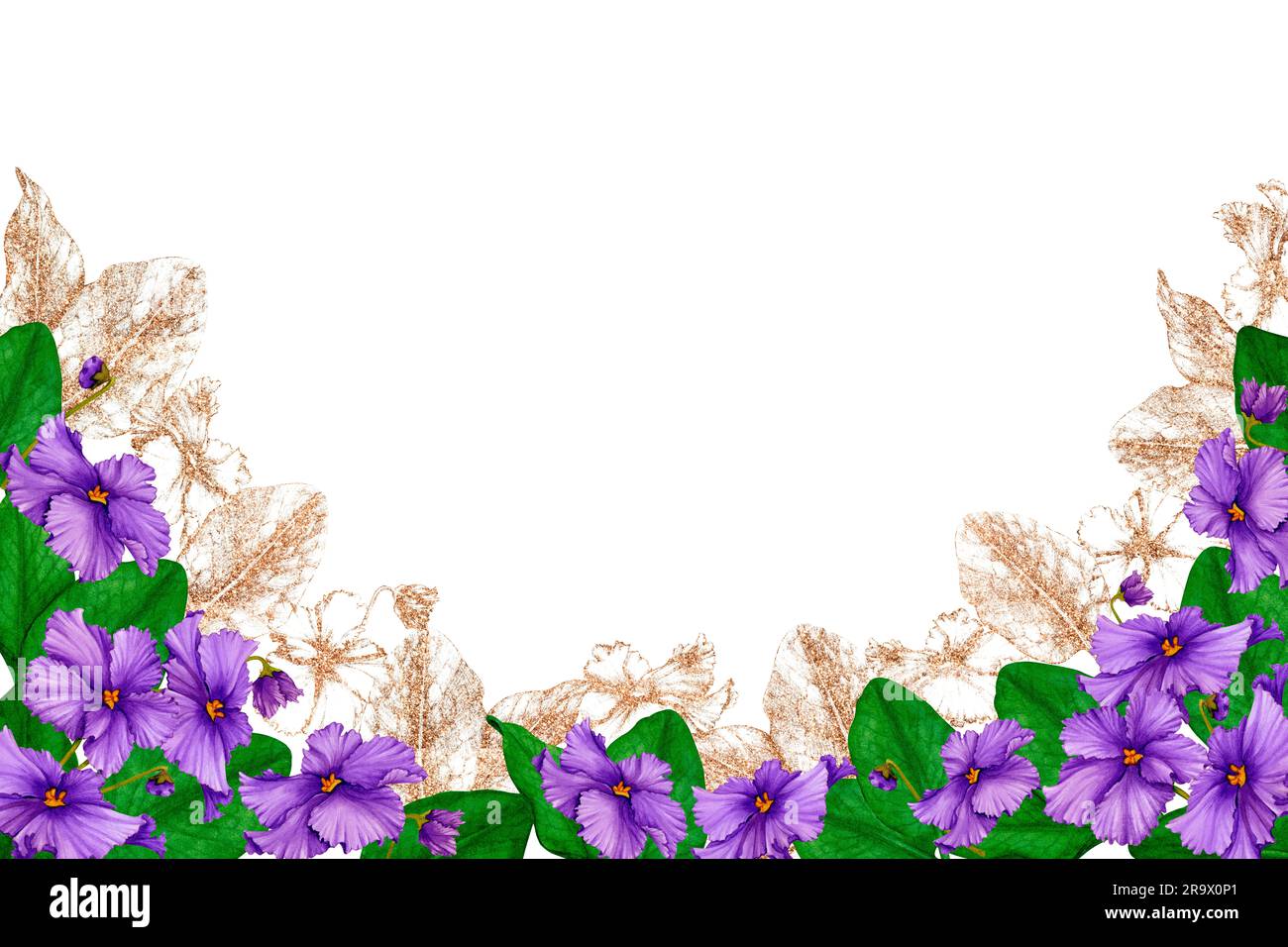 Background. Rectangular floral frame of African violets. Hand drawn ...
