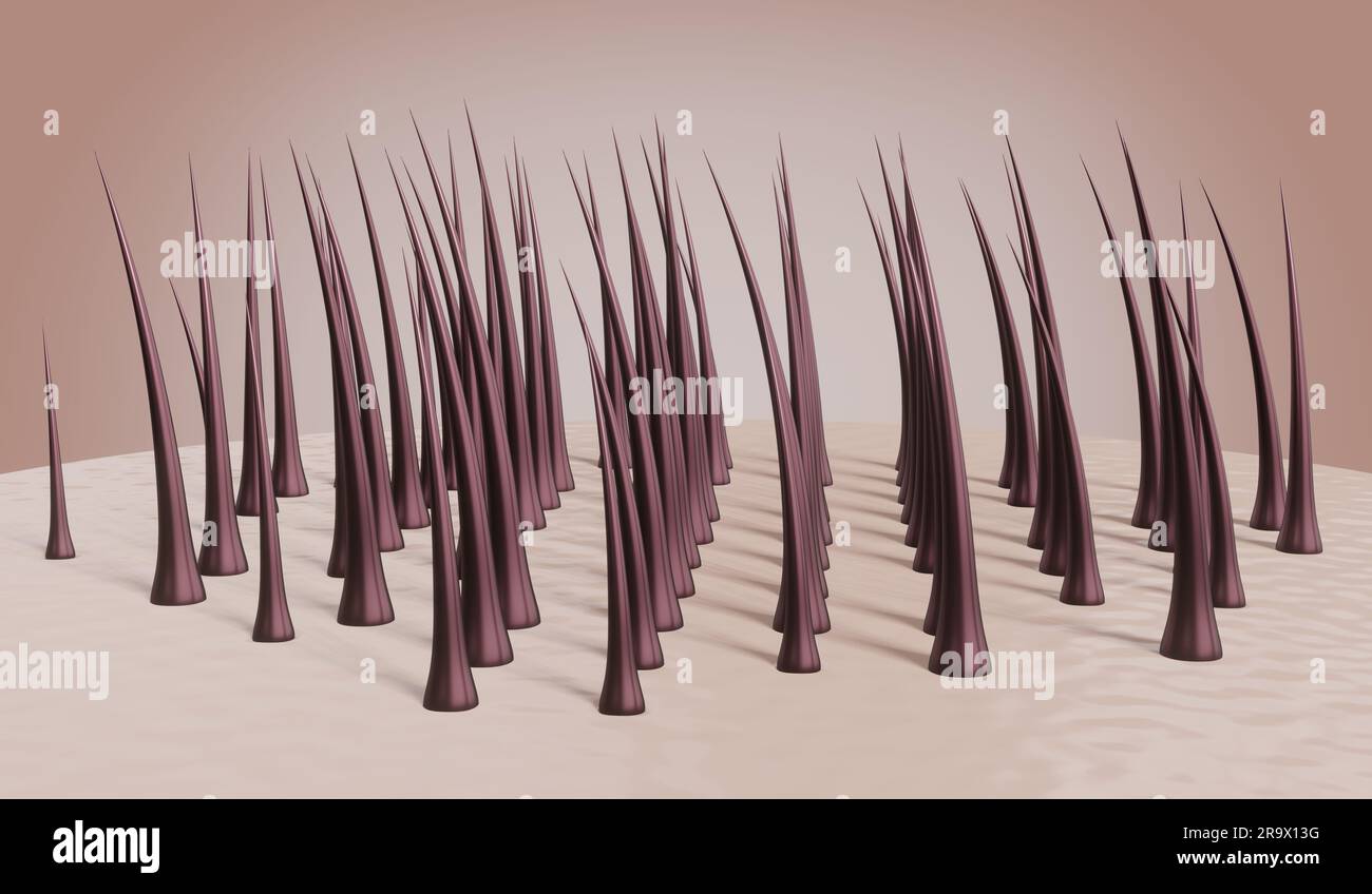 Healthy Hair Under A Microscope