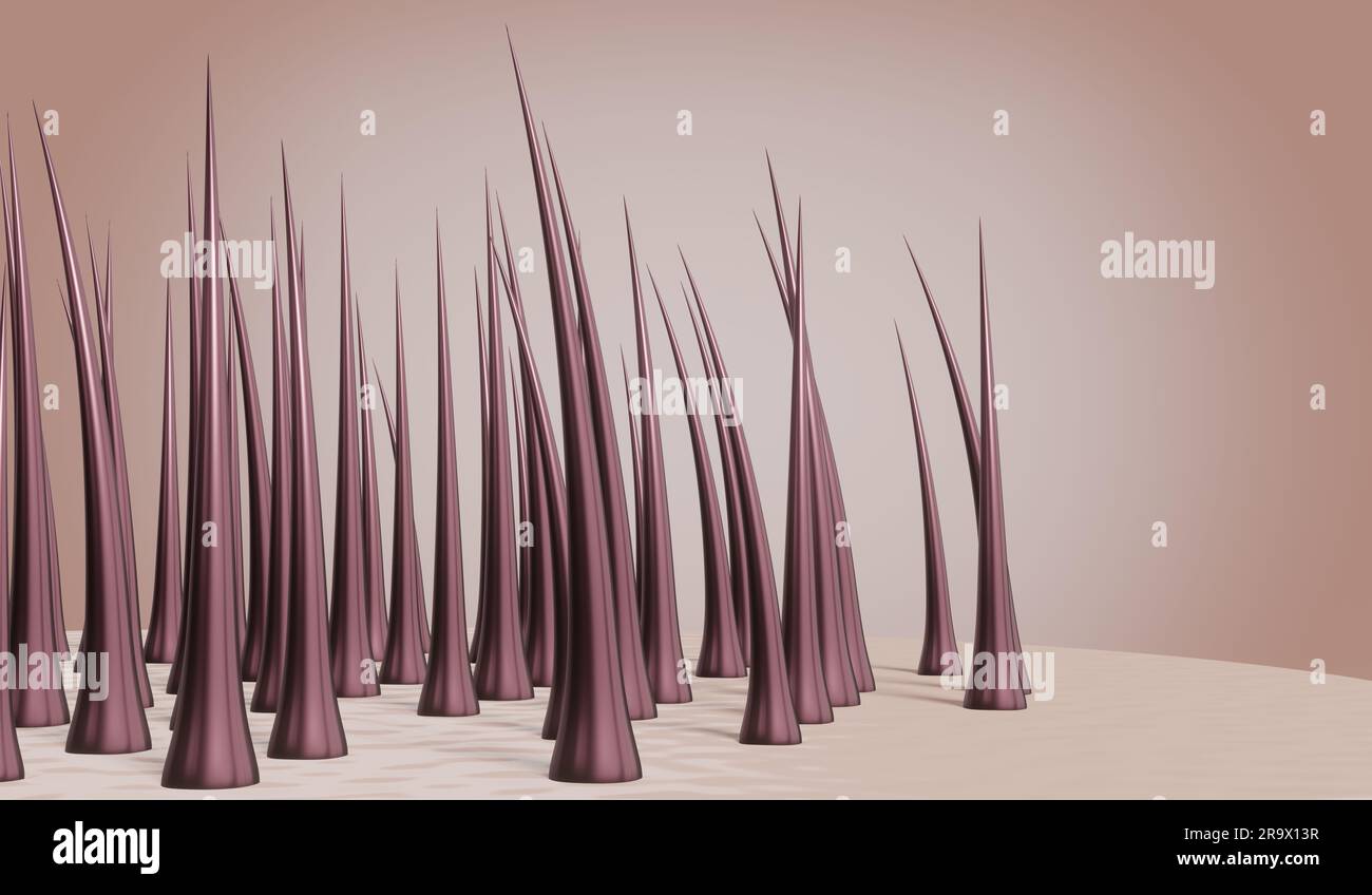 Healthy hair follicles and skin under microscope - 3D illustration ...