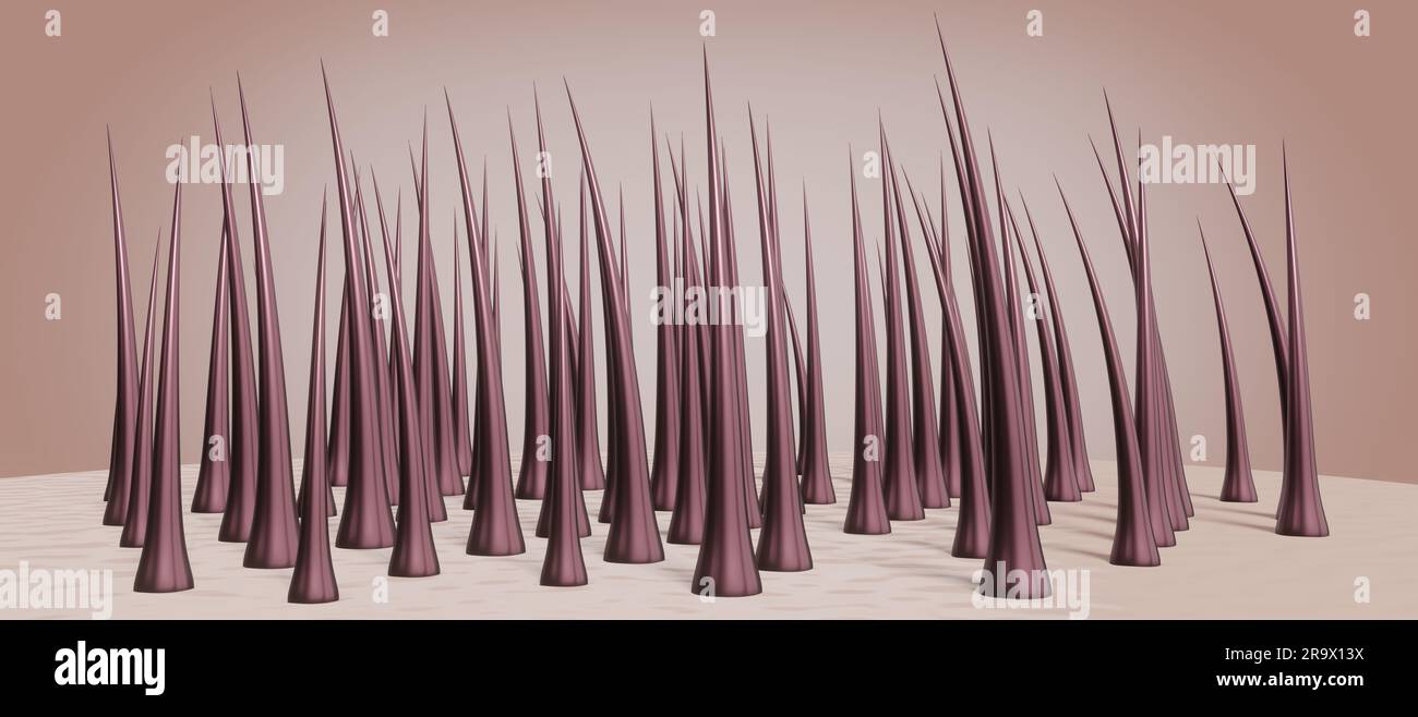 Healthy hair follicles and skin under microscope - 3D illustration ...