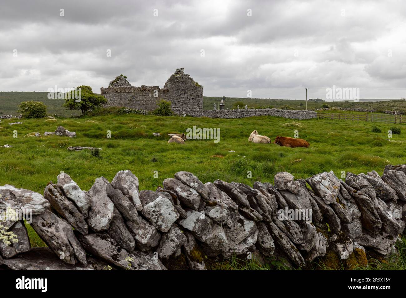 Medieval church graveyard ireland hi-res stock photography and images ...