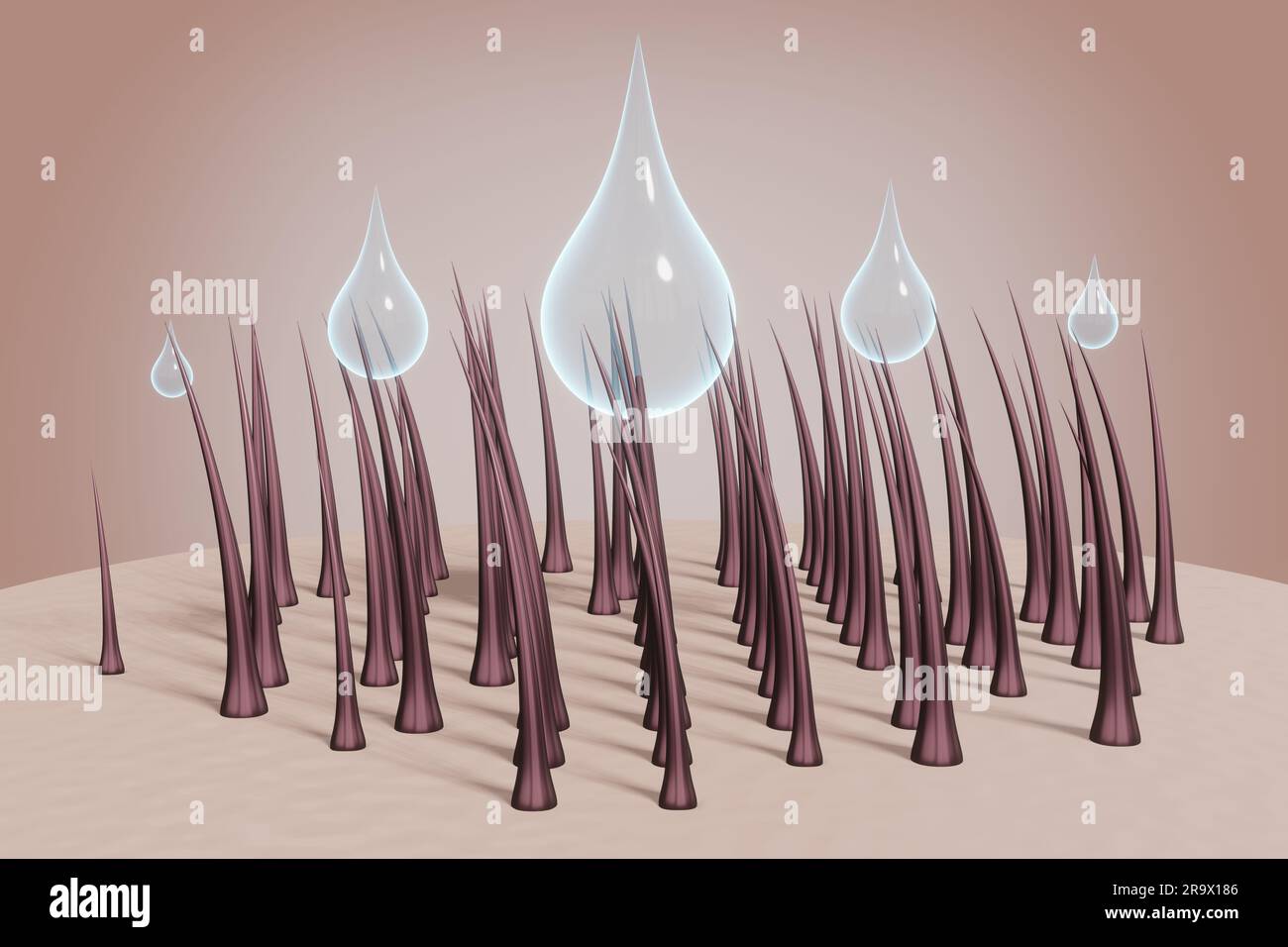 Shampoo or cosmetic molecules nourish hair follicles - 3D illustration ...