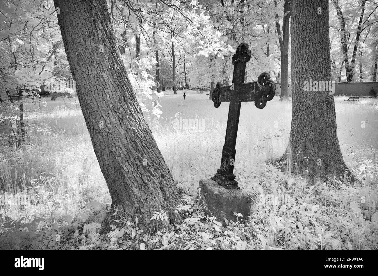 Infrared image, grave cross, iron cross, graves, historical cemetery ...