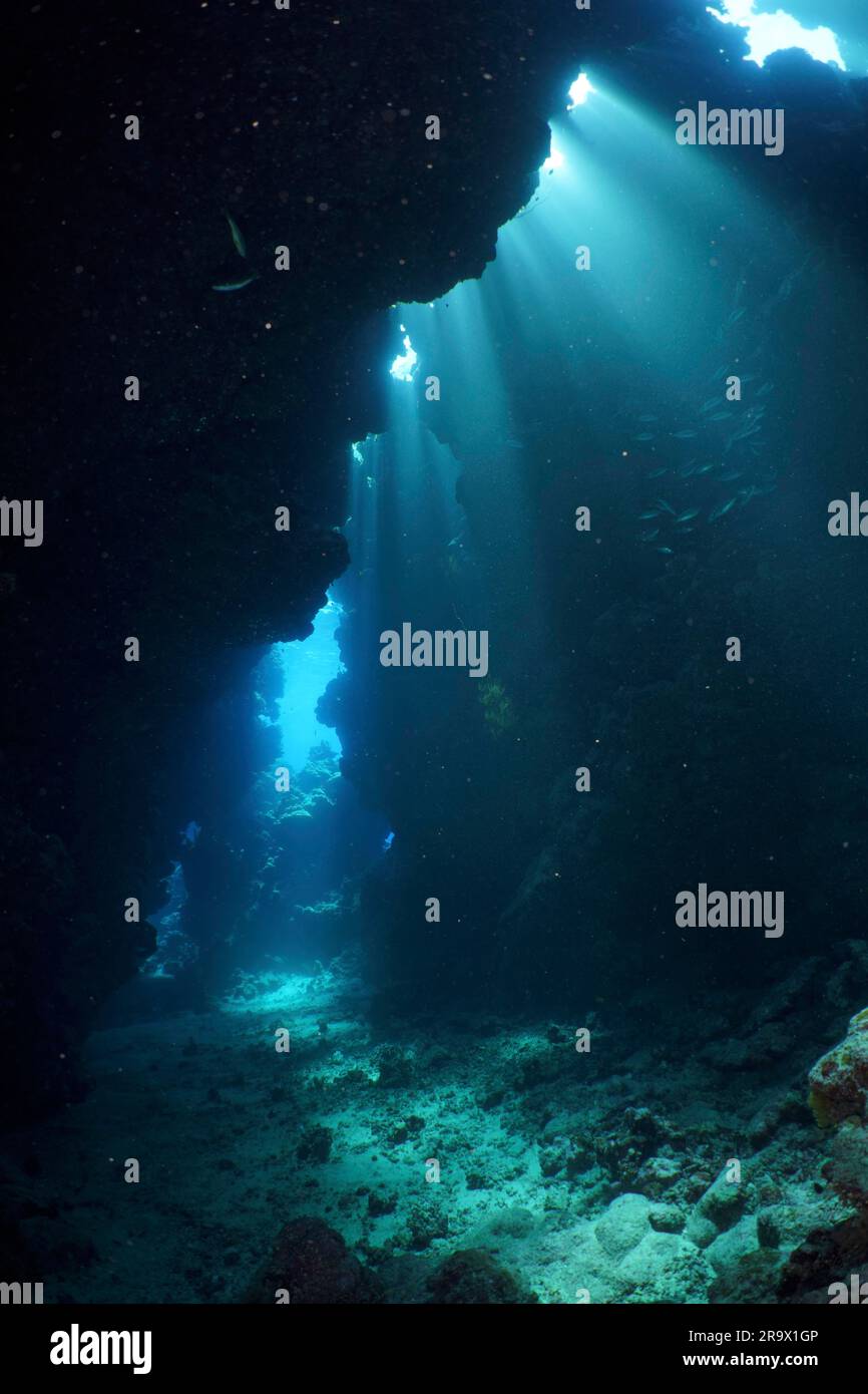 Light rays, sun rays in cave, underwater, Shaab Claudia reef dive site ...