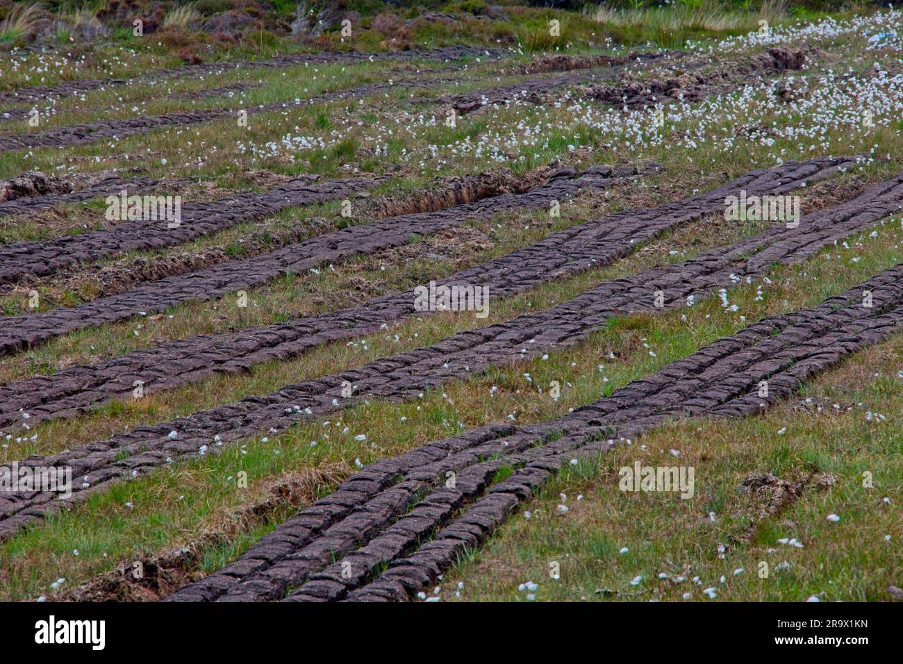 A peat mound on North Uist. The cost-of-living crisis is forcing ...