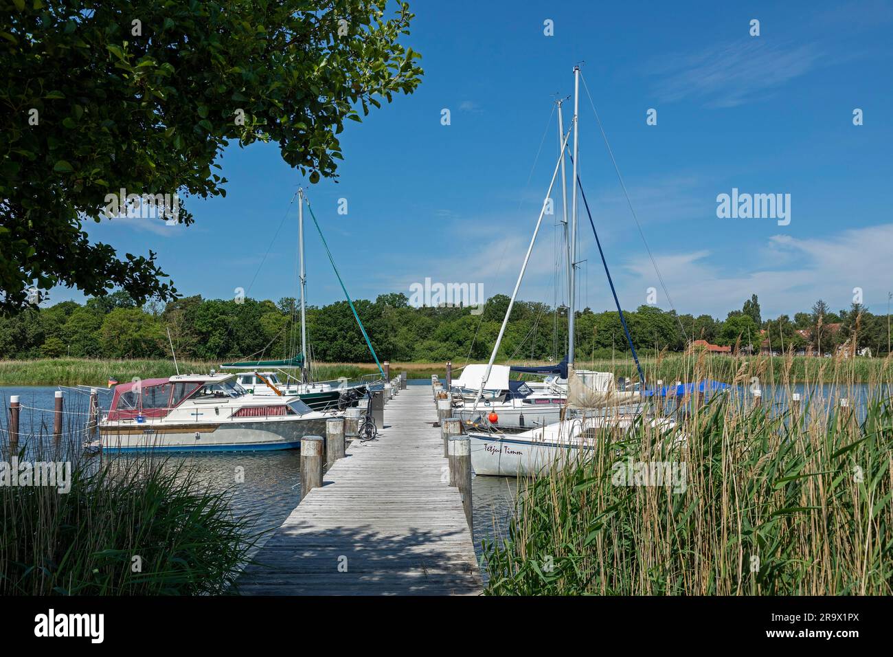 Sailing boats, jetty, harbour, Prerow, Fischland-Darss-Zingst ...