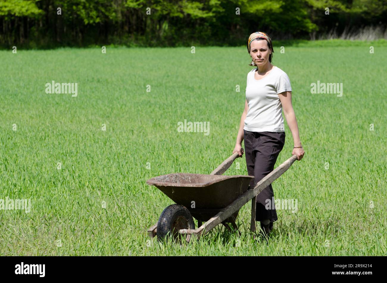 Woman with a wheelbarrow on the field Stock Photo - Alamy