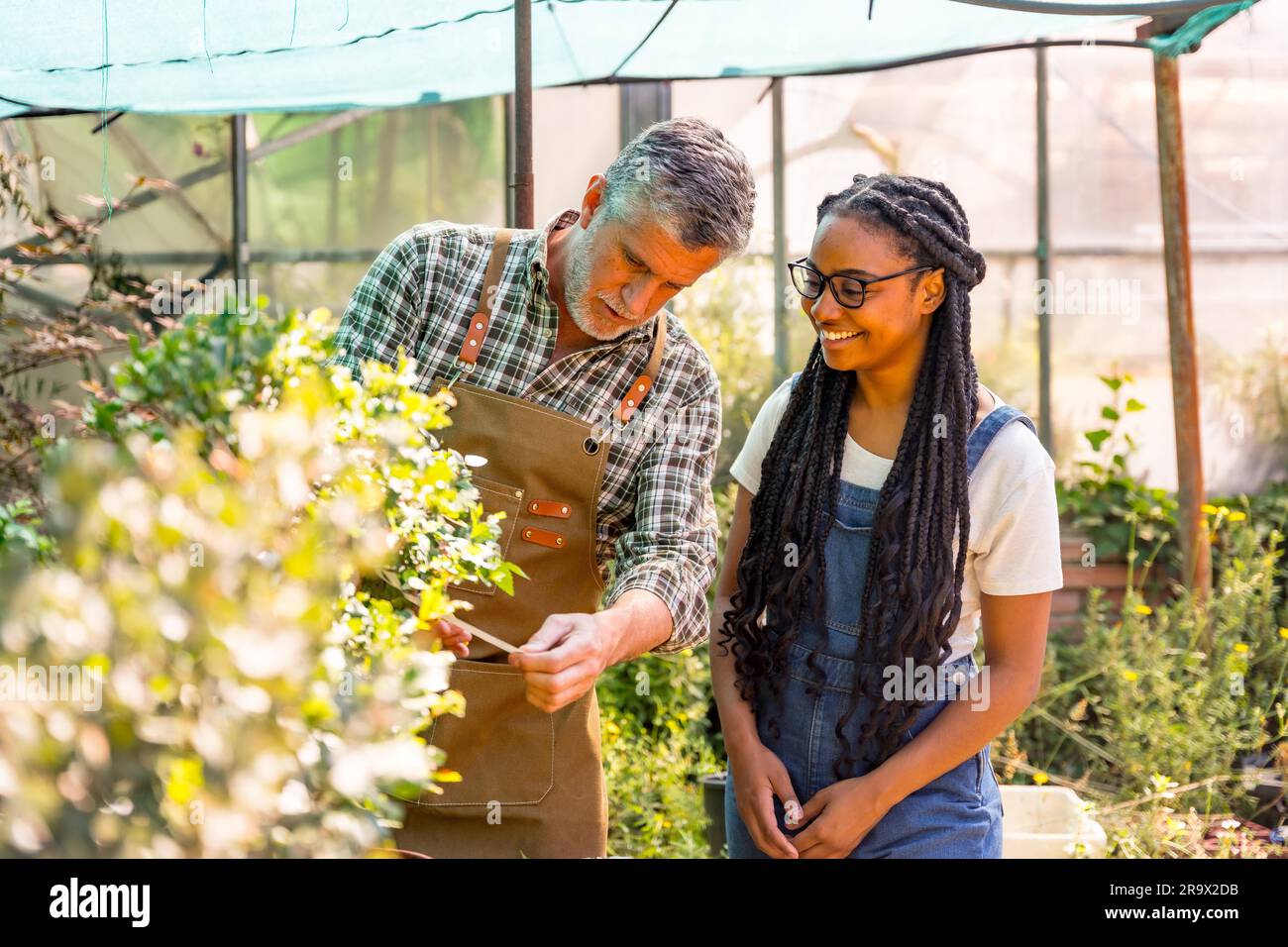 Flower nursery workers checking plants in the greenhouse Stock Photo - Alamy