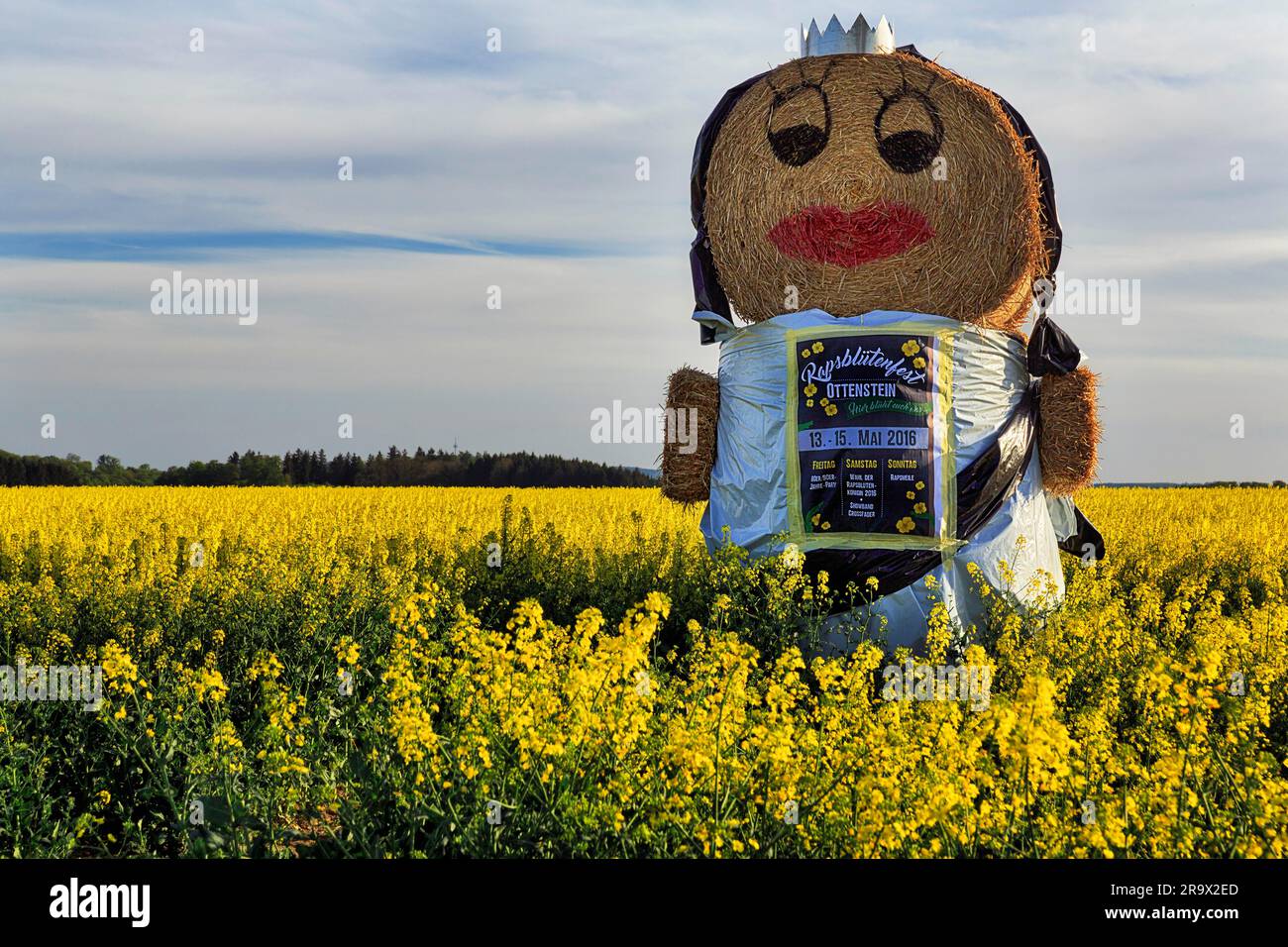 Straw puppet in a rape field, figure of a queen made of straw bales ...