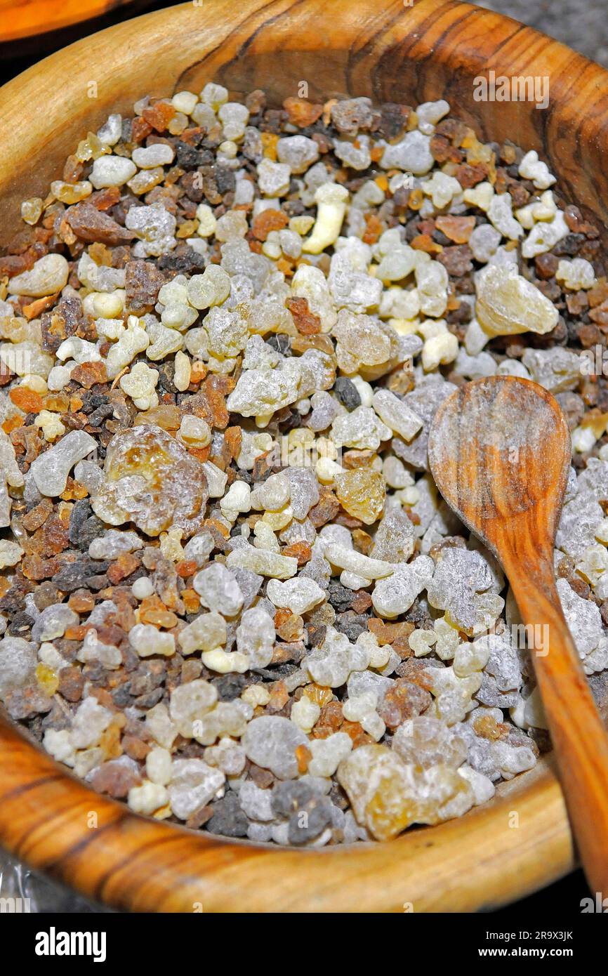 Different kinds Frankincense resin (Boswellia), burn incense Stock ...