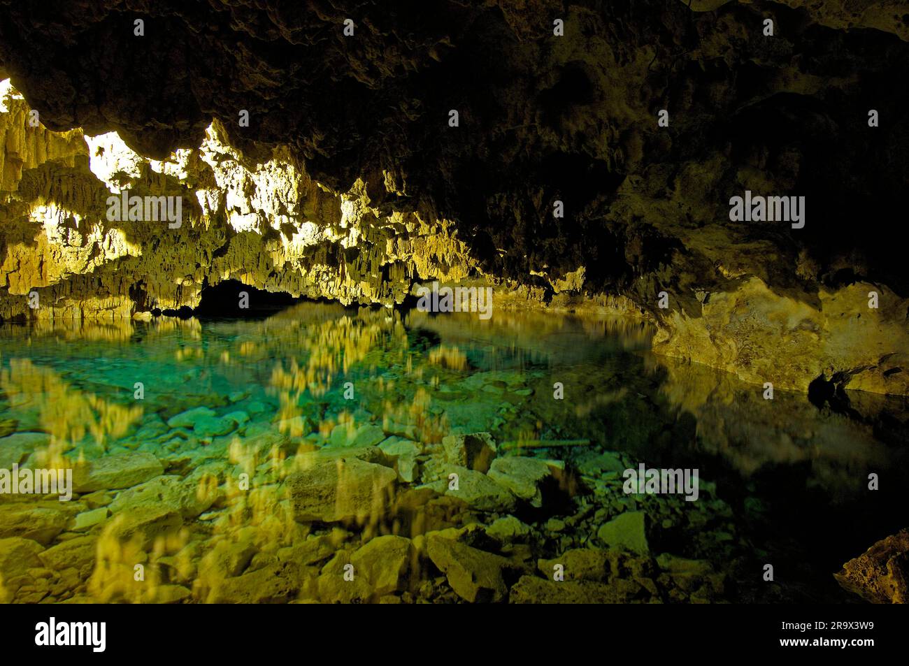 Cenote, Hidden Worlds Cenotes Park, Tulum, Riviera Maya, Quintana Roo ...