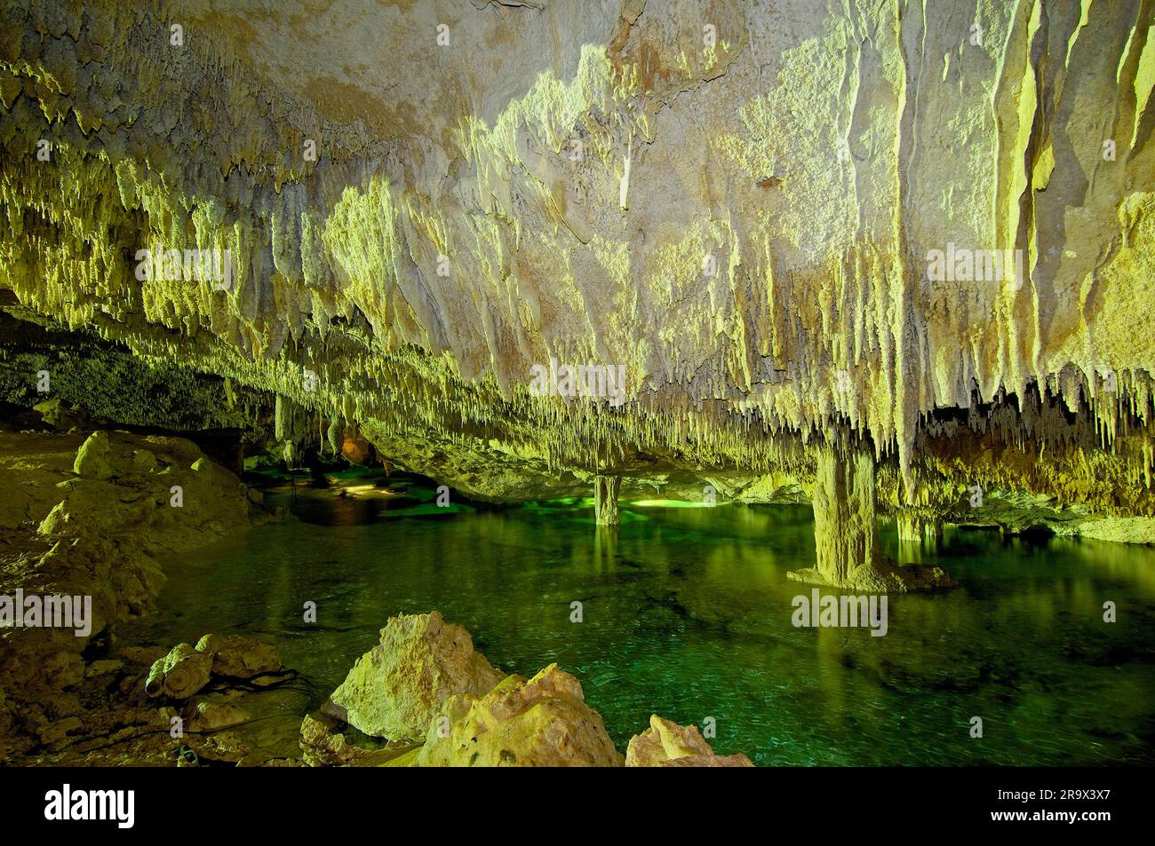 Cenote, Hidden Worlds Cenotes Park, Tulum, Riviera Maya, Quintana Roo ...