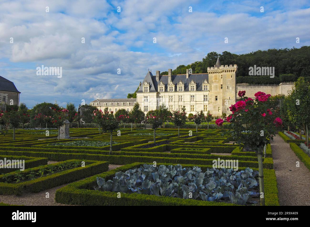 Castle Garden, Loire Valley, Touraine, Chateau de, Villandry Castle ...