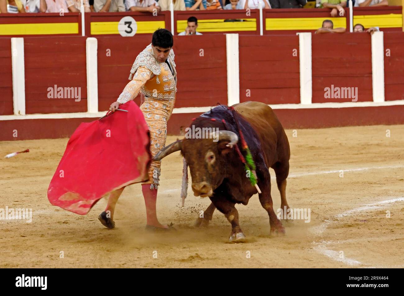 Jesulin hi-res stock photography and images - Alamy
