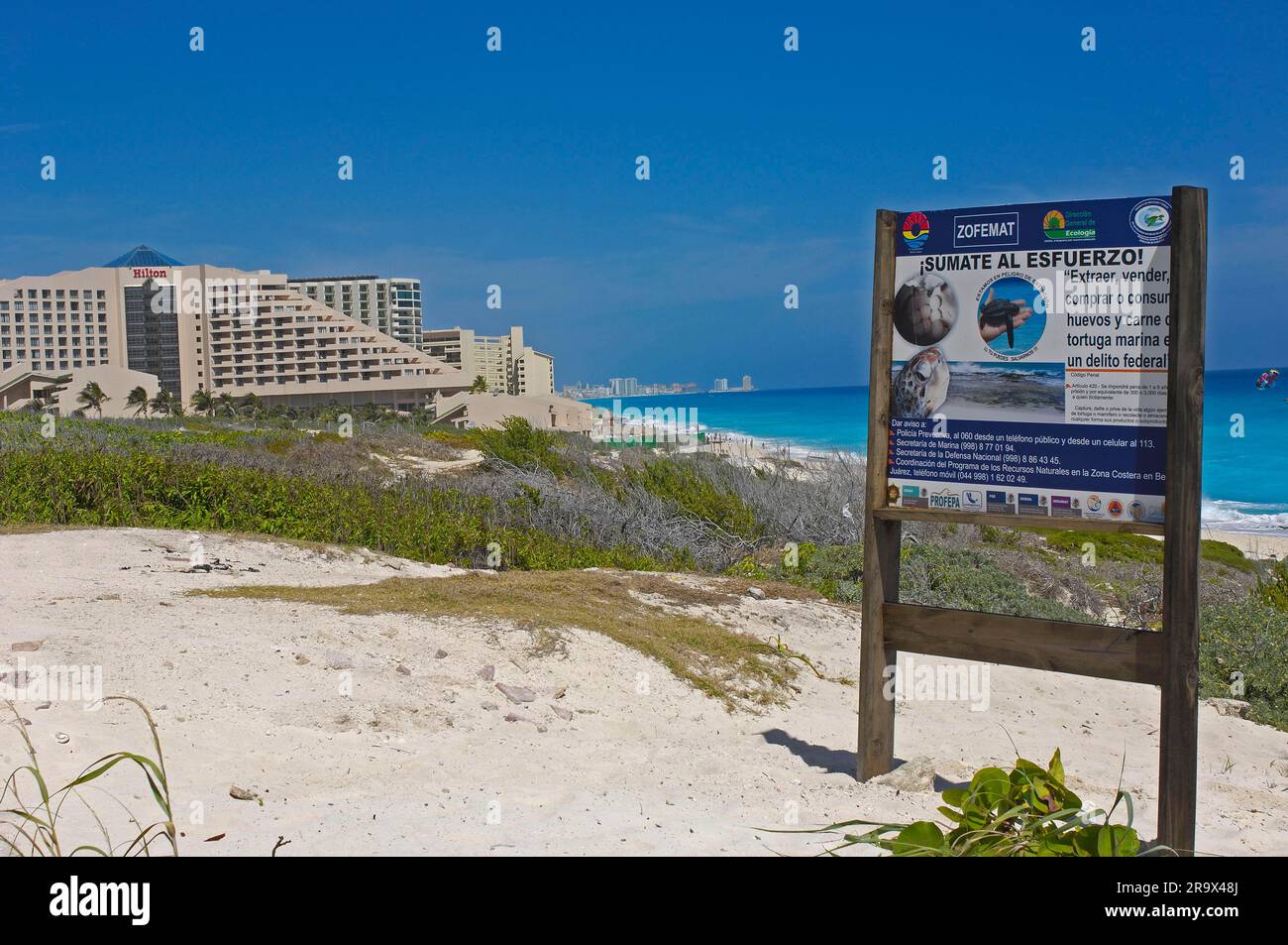 Sign, View of the Hilton Hotel, Cancun Beach, Riviera Maya, Quintana ...