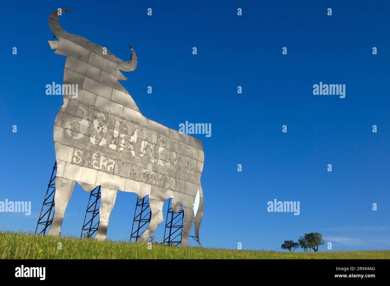 Statue of spanish bull hi-res stock photography and images - Alamy