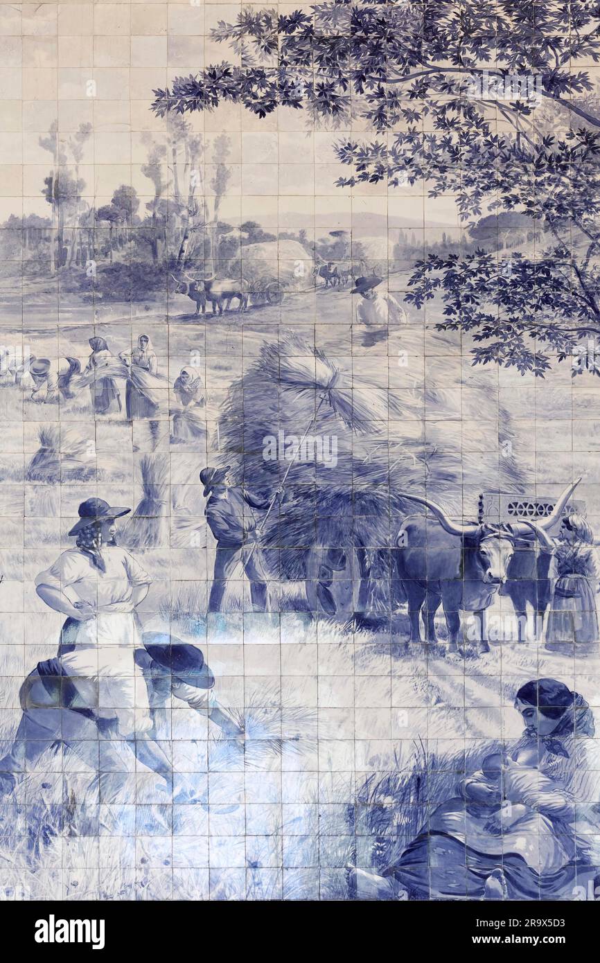 Azulejo, grain harvest, rural scene with ox carts, Porto Sao Bento ...