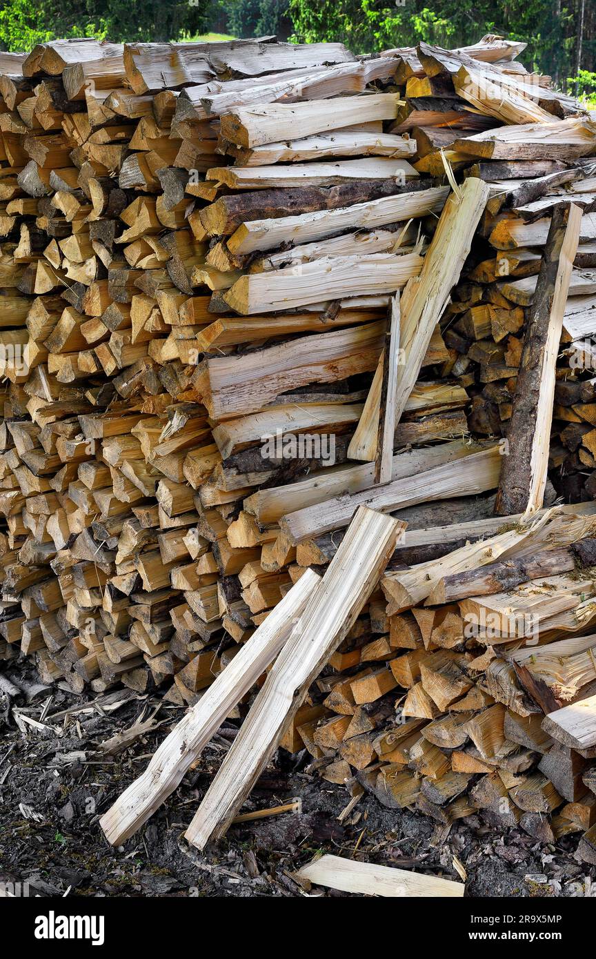 Stacked firewood, Allgäu, Bavaria, Germany, Europe Stock Photo - Alamy