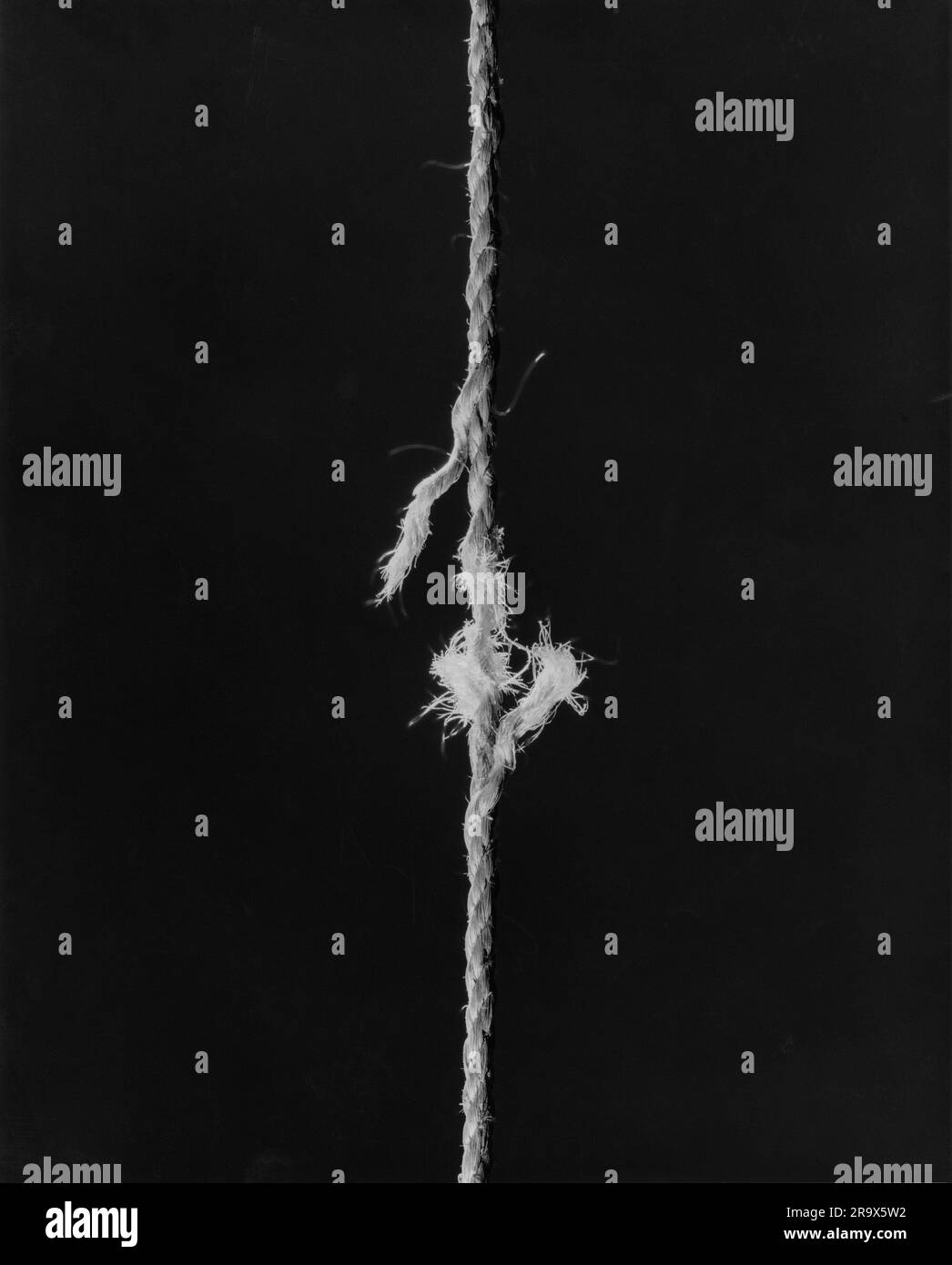 Wit's end Black and White Stock Photos & Images - Alamy